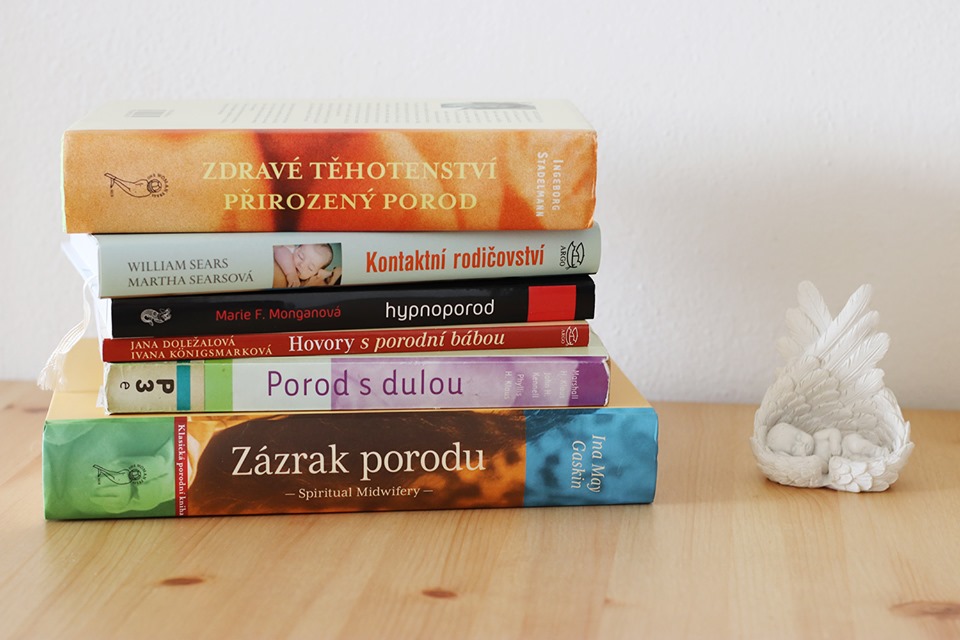 Doprovod k porodu, porodní dula, laktační poradenství, předporodní příprava